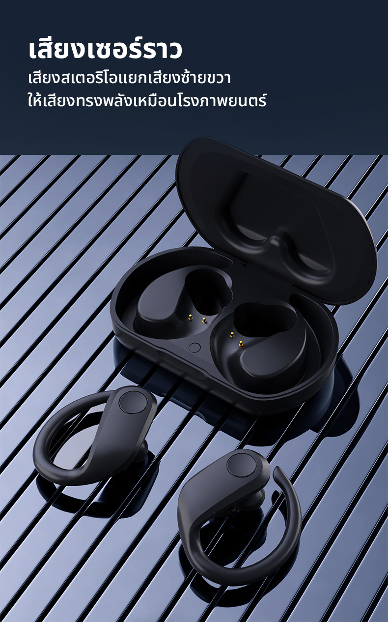 Basspro SP33 - ลำโพงเกี่ยวหู